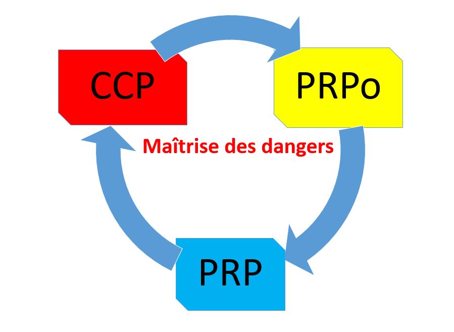 Les Diff rences Fondamentales Entre CCP PRPo Et PRP Ing nierie En