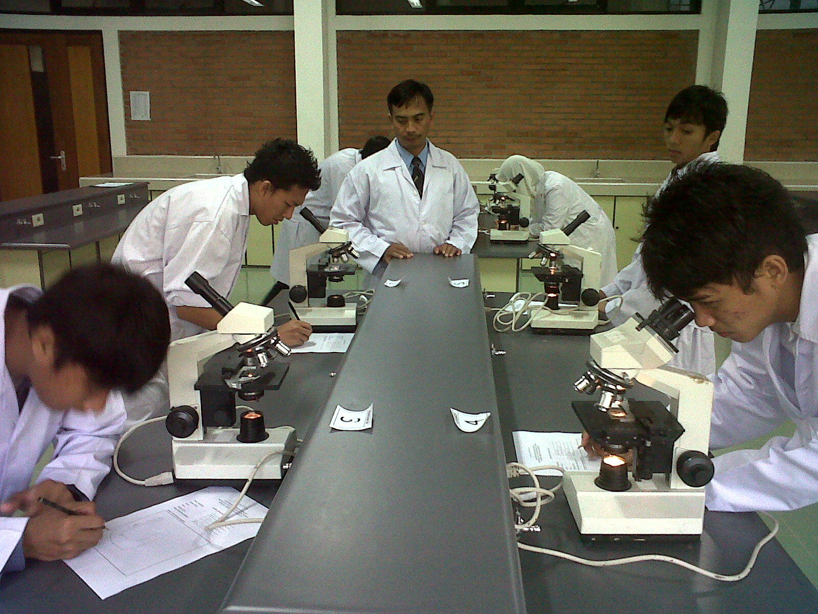 Fakta Anak Biologi - Biologi Edukasi: Belajar Sains Biologi