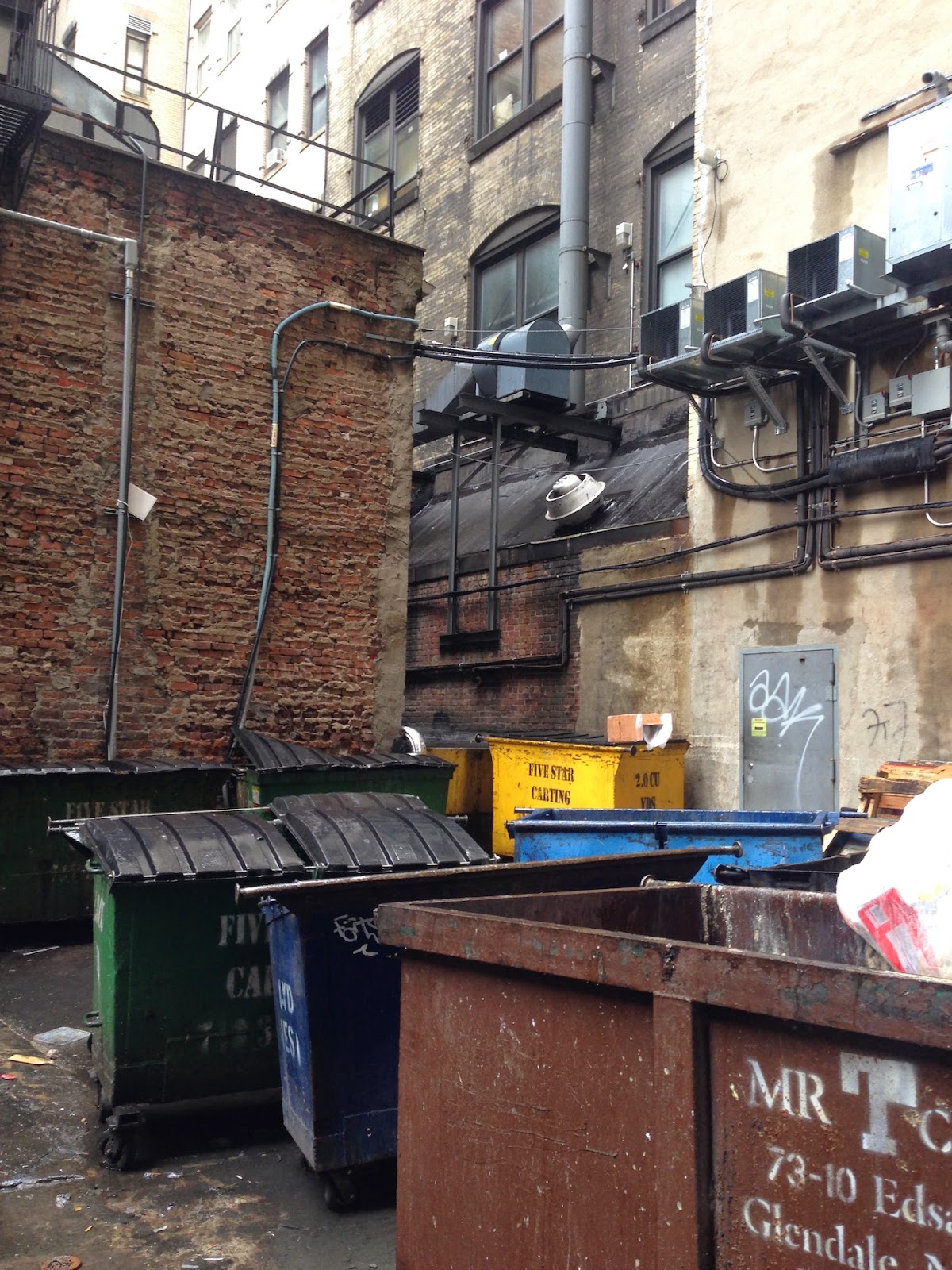 Sense & the City: SIGHT: The most beautiful alley in New York City