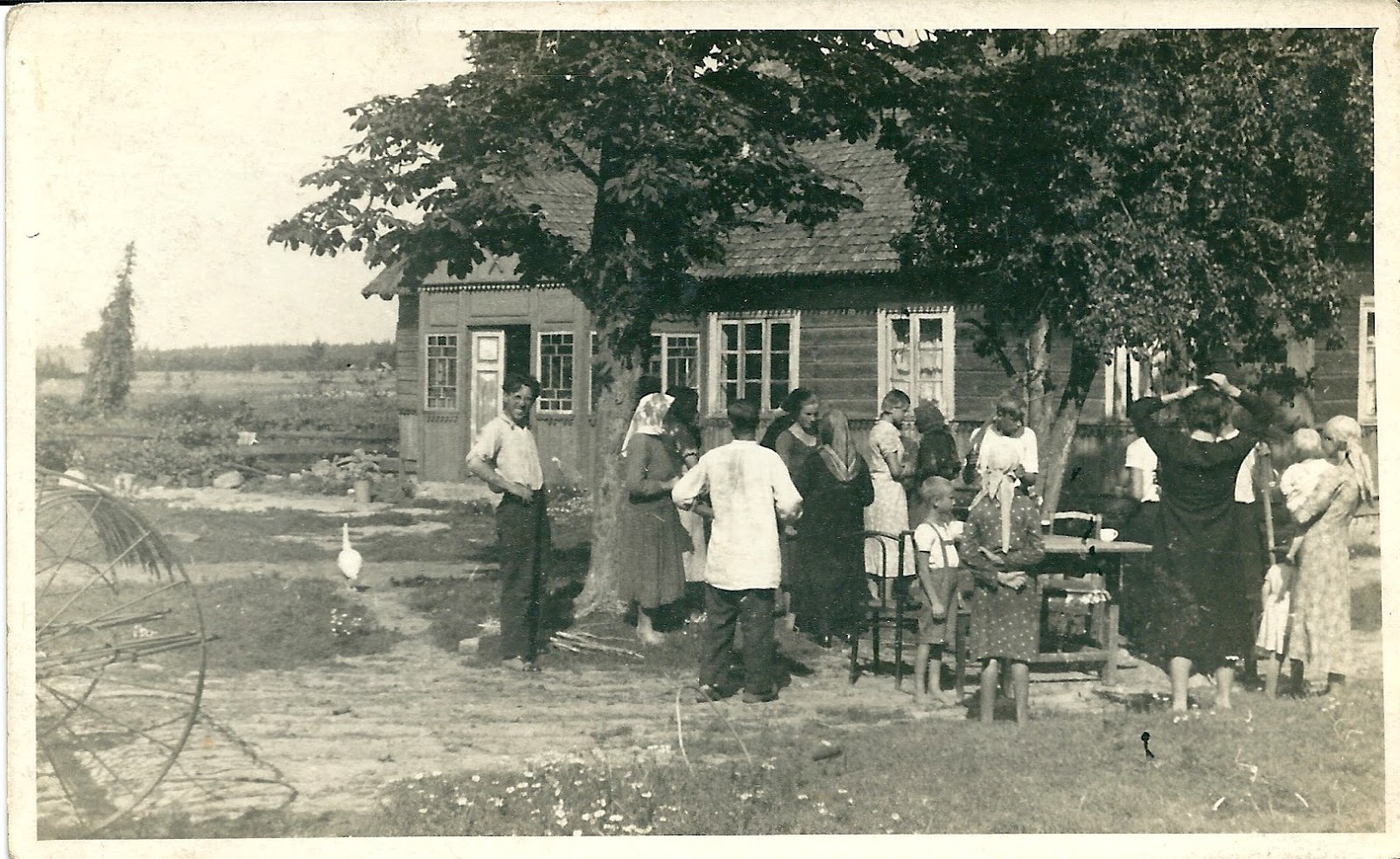 The Amazing Chronoscope: Lithuanian Harvest in the 1920s