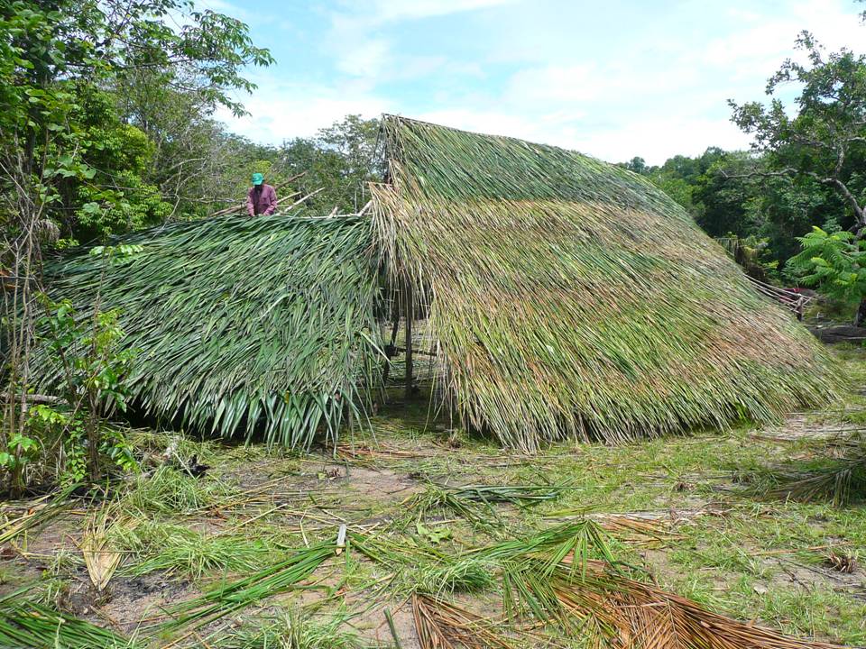 ARQUITECTURA INDÍGENA: CONSTRUCCION DE UN SHABONO YANOMAMI or "Making ...