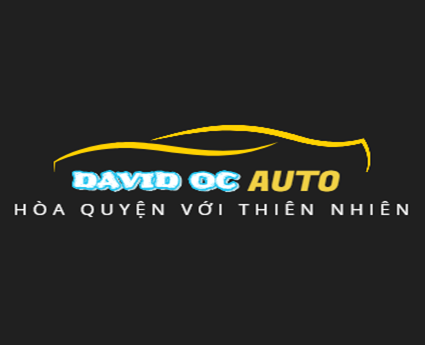 DAVID OC AUTO