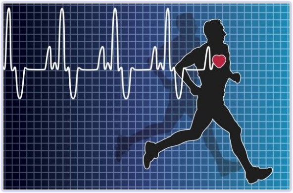Average Heart Rate During Exercise Workouts Life average-heart-rate-during-exercise-workouts-life