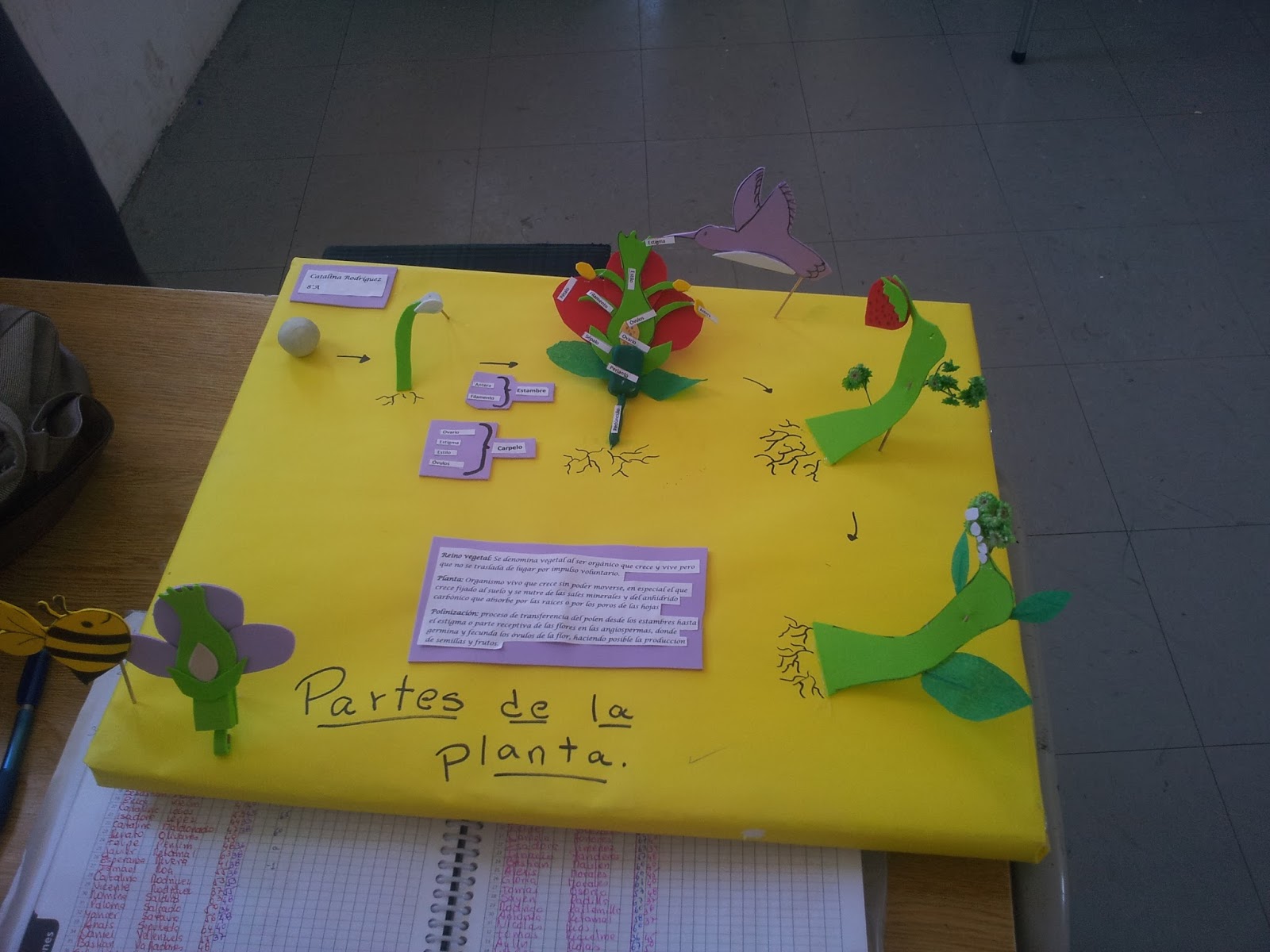 COMPARTAMOS NUESTRO C - N: Maqueta _partes de la Flor_8_2016
