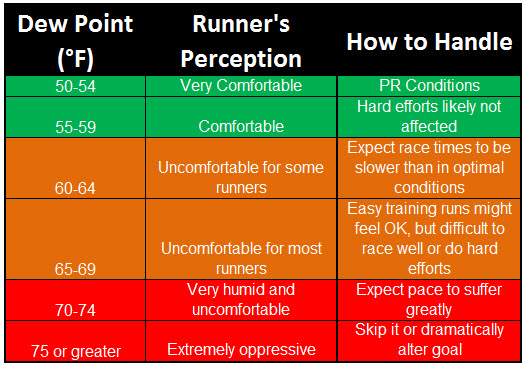 RunnerDude's Blog: Tips for Staying Safe and Beating the Heat