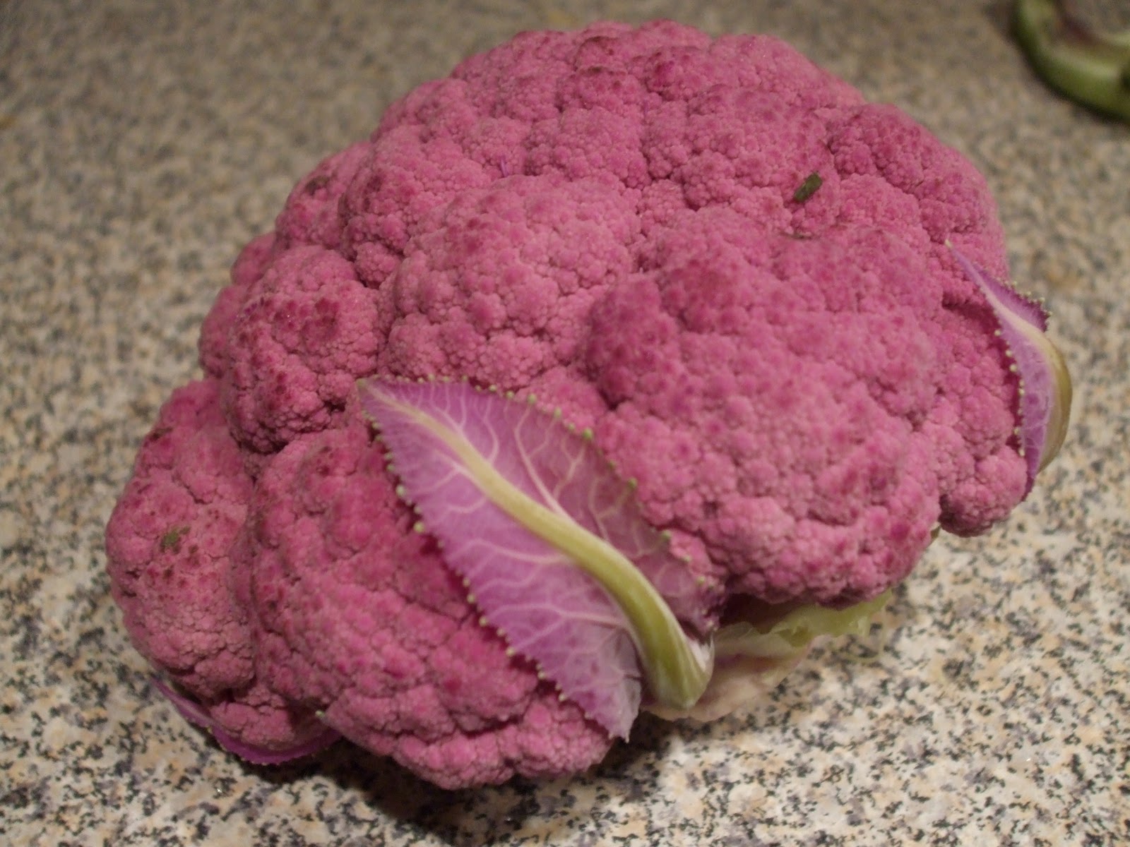 The Woodchuck Vegan: Seitan Burgundy with Whipped Purple Cauliflower Potato