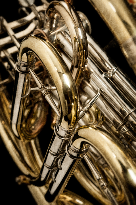 Dan Routh Photography: Horn Detail