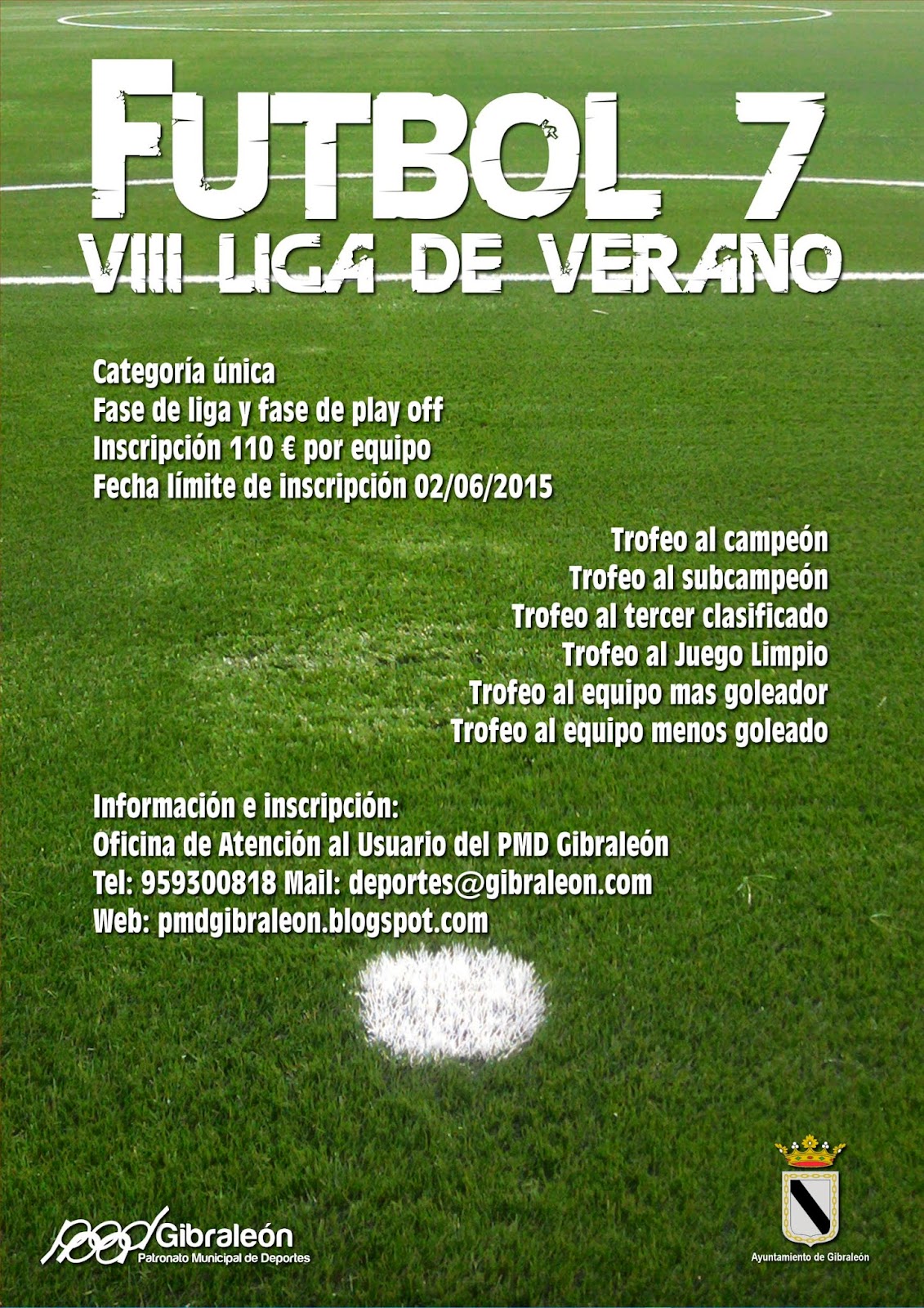 Servicio de deportes del Ayuntamiento de Gibraleón: VIII Liga de Fútbol ...