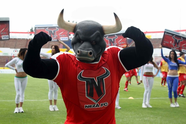 ANOTANDO FÚTBOL *: TOROS NEZA