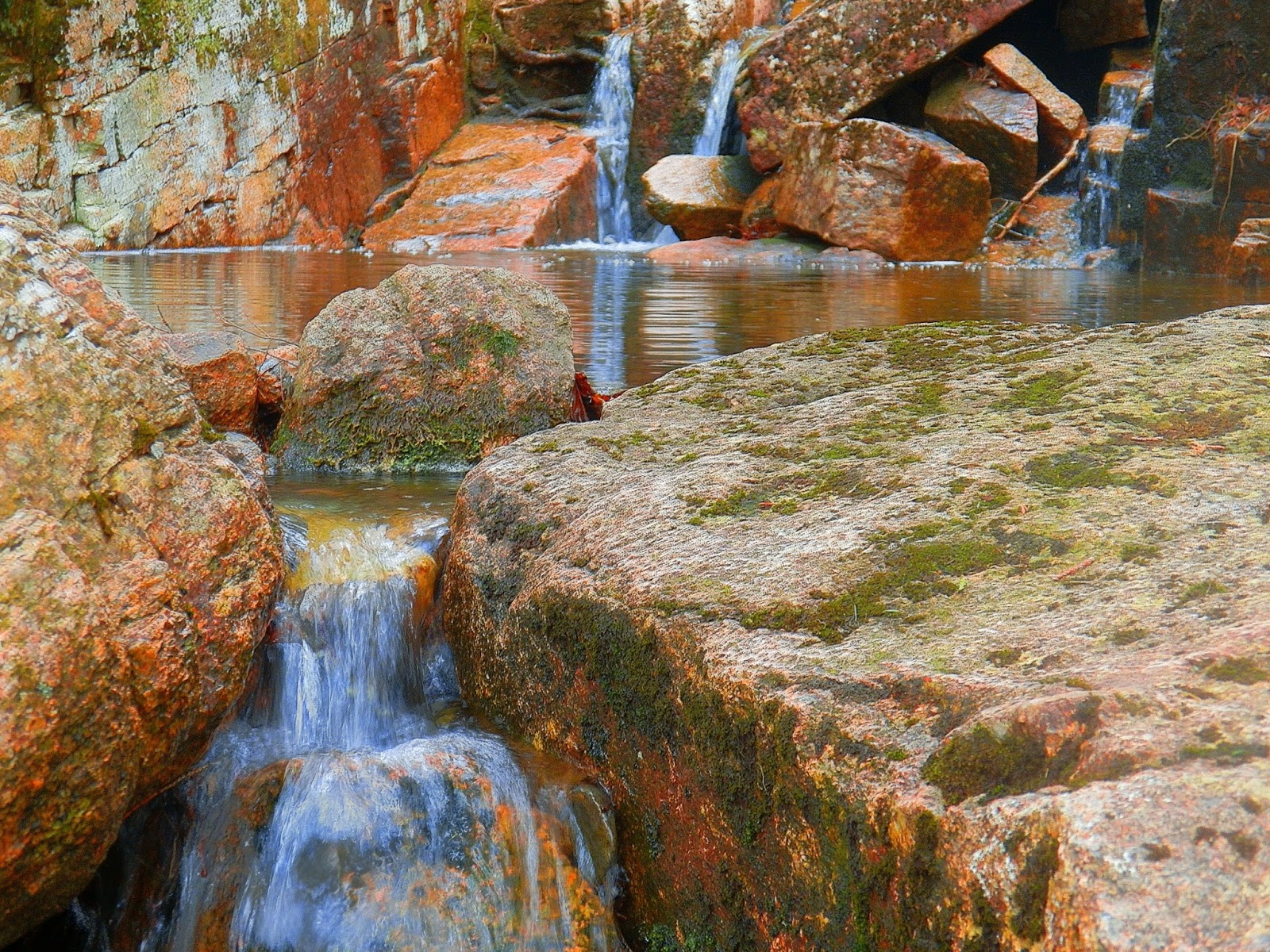 ABANDONED TRAILS OF ACADIA NATIONAL PARK: CADILLAC MOUNTAIN'S HIDDEN ...