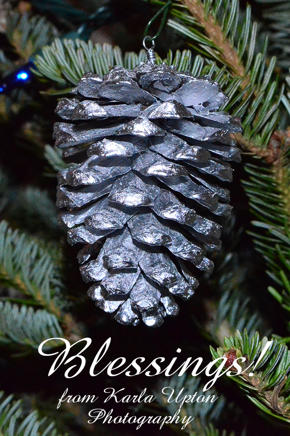 The Little Biddy Hen House: Blessings