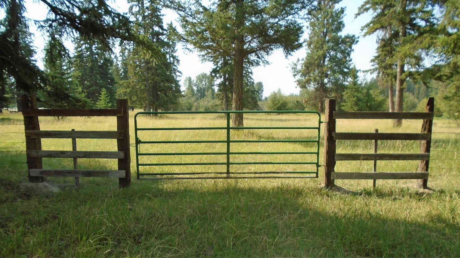 Life among the Tall Pines: Middle / north pasture gates and fence work
