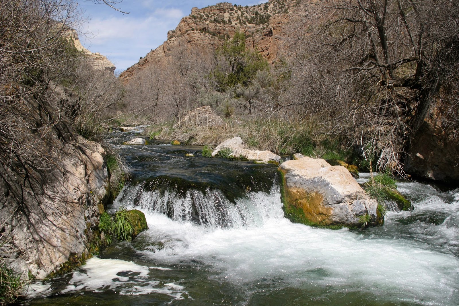 Red Rock Adventures: Jones Hole Creek