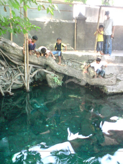 Life is my Journey: Bulus di Jimbung, Klaten