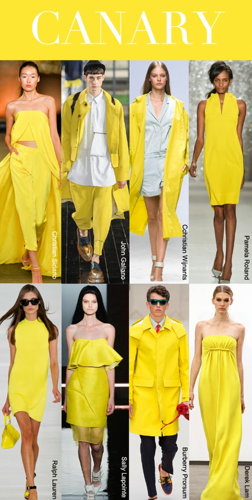 Surface Prints, Trends, Colours, Inspirations and Freebies: WOMEN'S INT ...