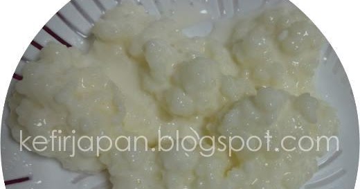 Comunidade Kefir no Japão: Seja bem vindo à Comunidade Kefir! Welcome ...