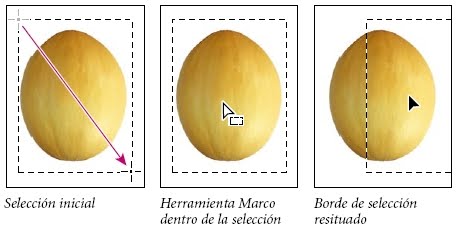 Te Ayudamos: Seleccionar con la herramienta Marco rectangular