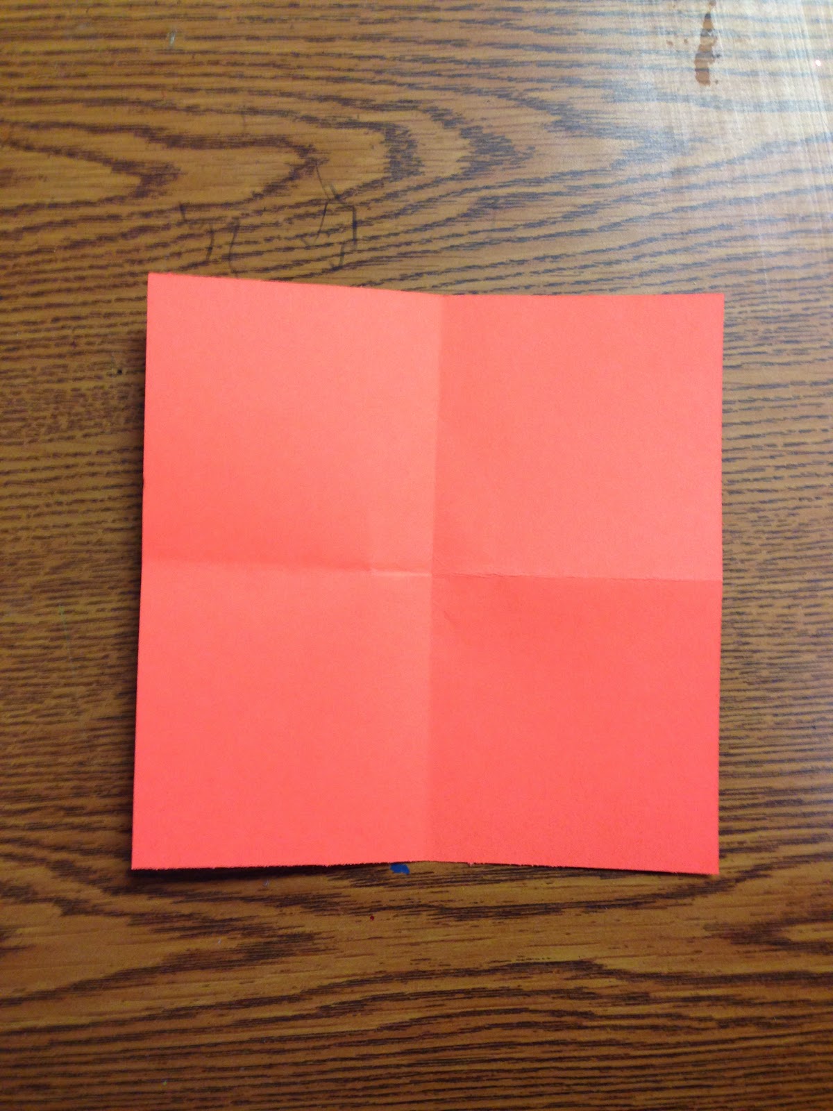 Willy Whiskers: The Adventures of an Elementary Art Teacher: Flower ...