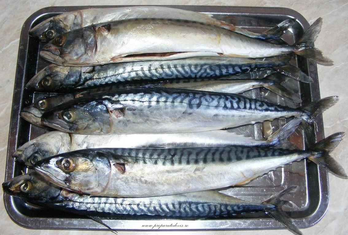 Peste la gratar | Retete Culinare Preparatedevis.ro