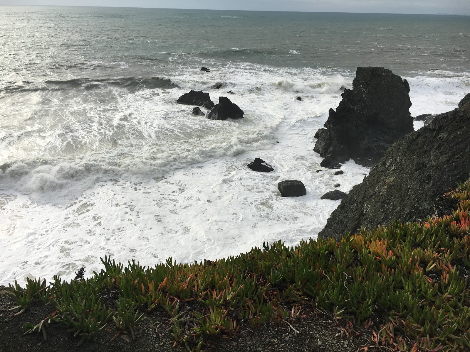 flanders.california.usa: 2016 hike 4: Rodeo Beach and Marin Headlands