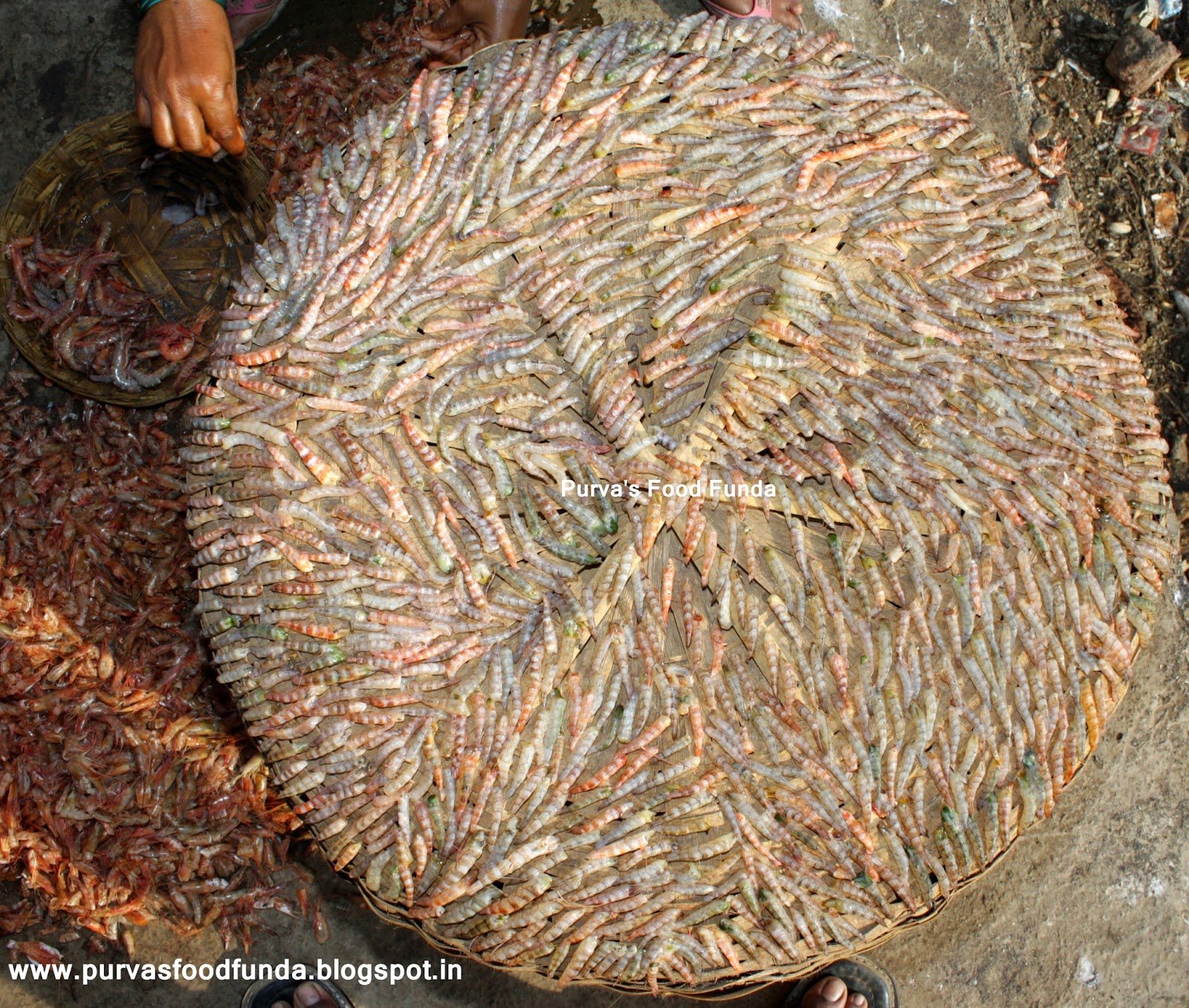 Food Funda: Types Of Dried/ Dry Fish & Dried Shrimp And Recipes
