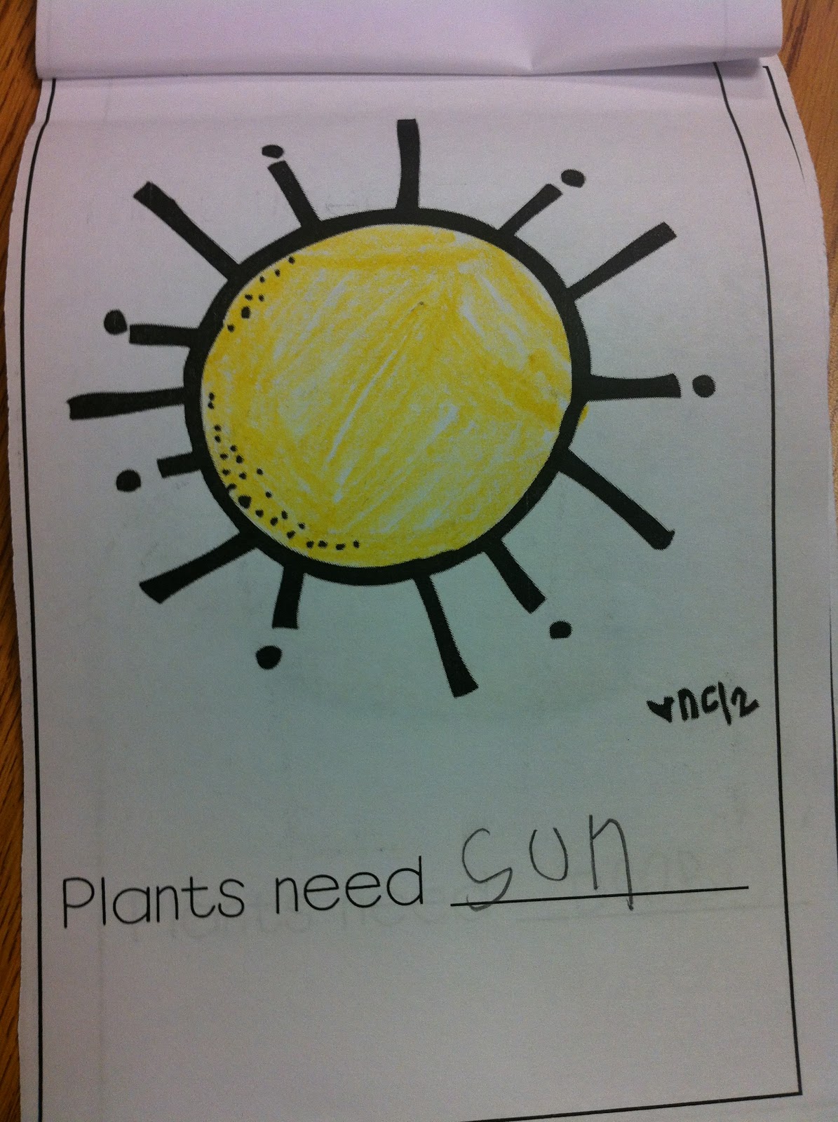 The Adventures of a K/1 Teacher: Fun with Plants