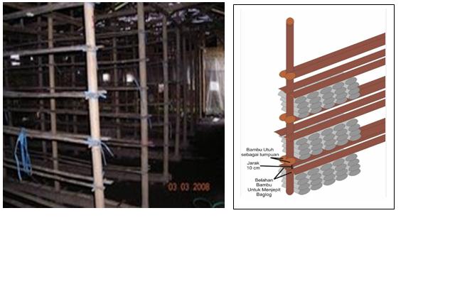 Budidaya Jamur Tiram di Medan: Panduan Singkat Budidaya Jamur Tiram