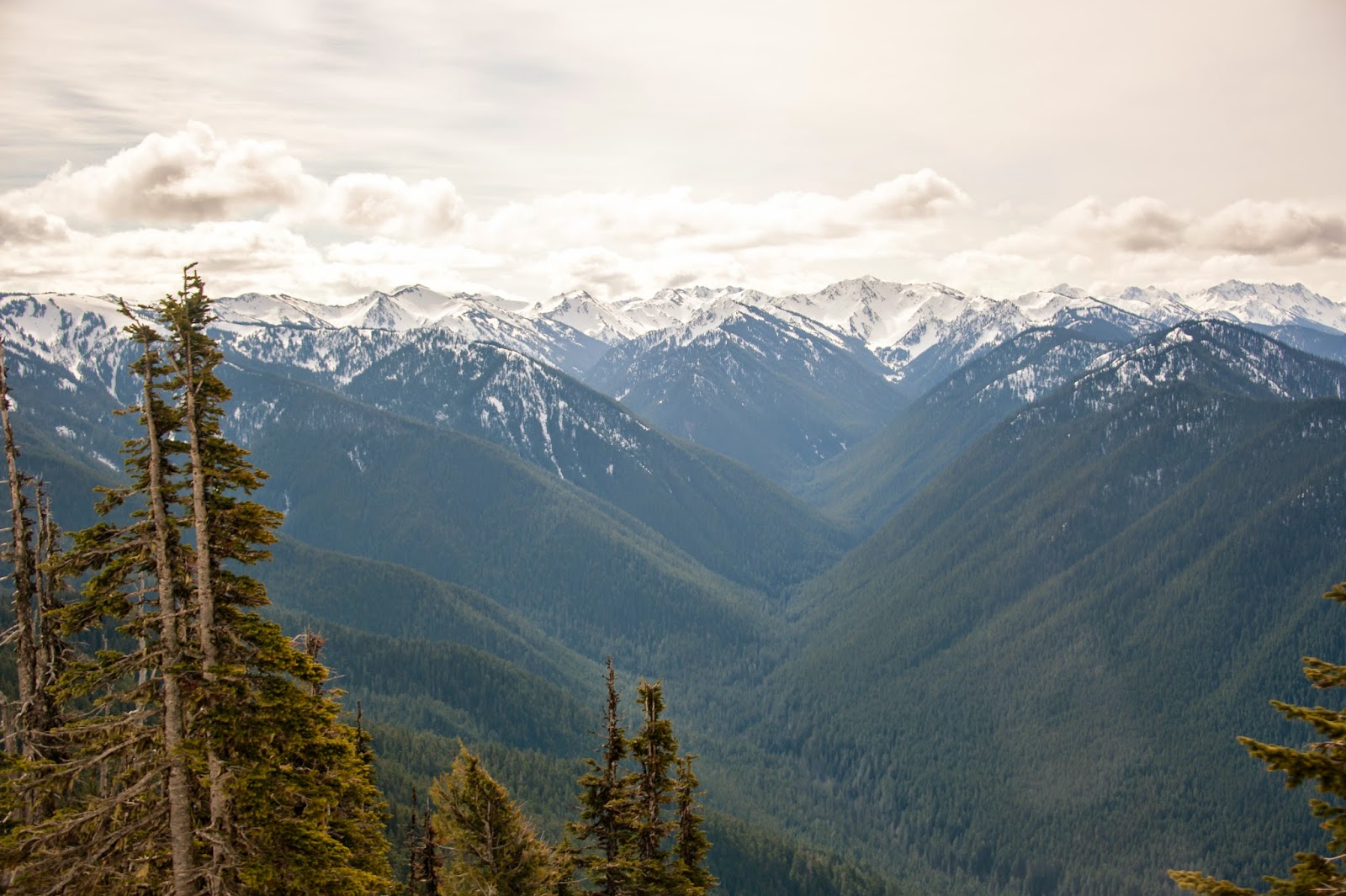 KM SNAPS: Port Angeles, WA: Hurricane Ridge