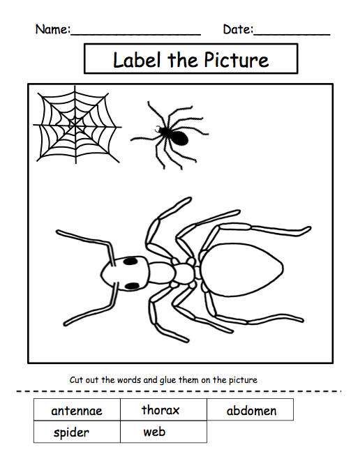 Autism Tank: Science Preview: Insects