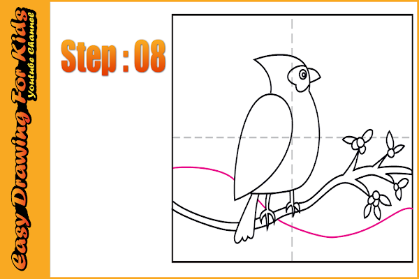 How To Draw a Cardinal Bird Step By Step | Drawing Course for Beginners