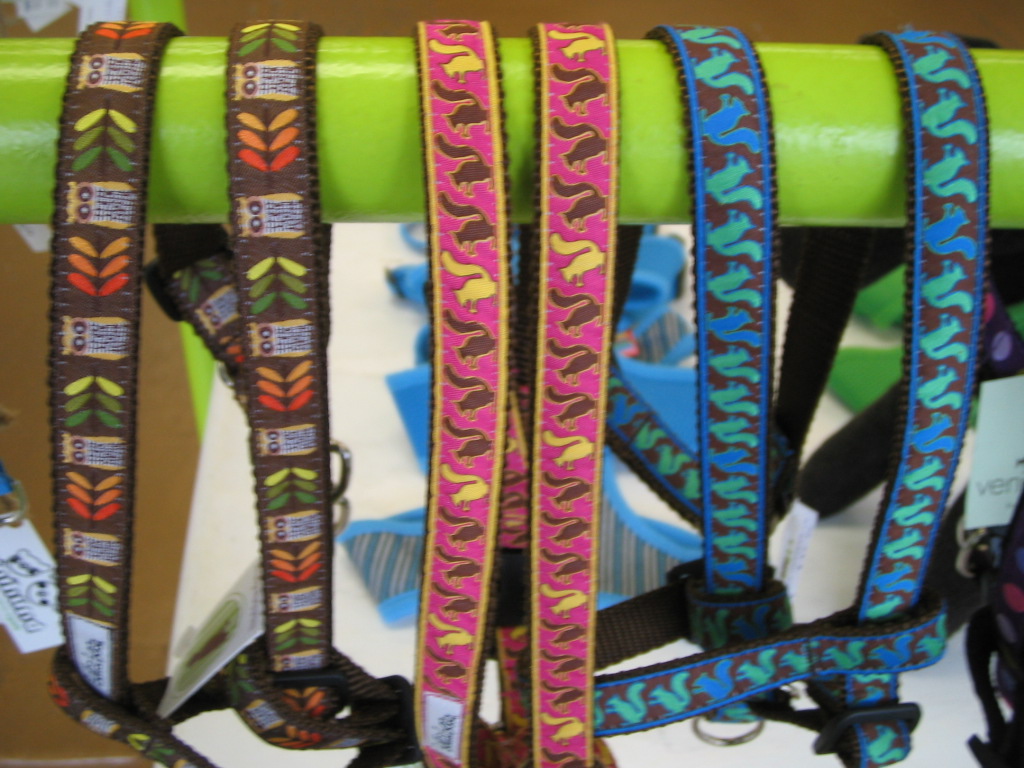 venicepets: NEW ARRIVAL * BELLA BEAN COLLARS, LEADS, HARNESSES*