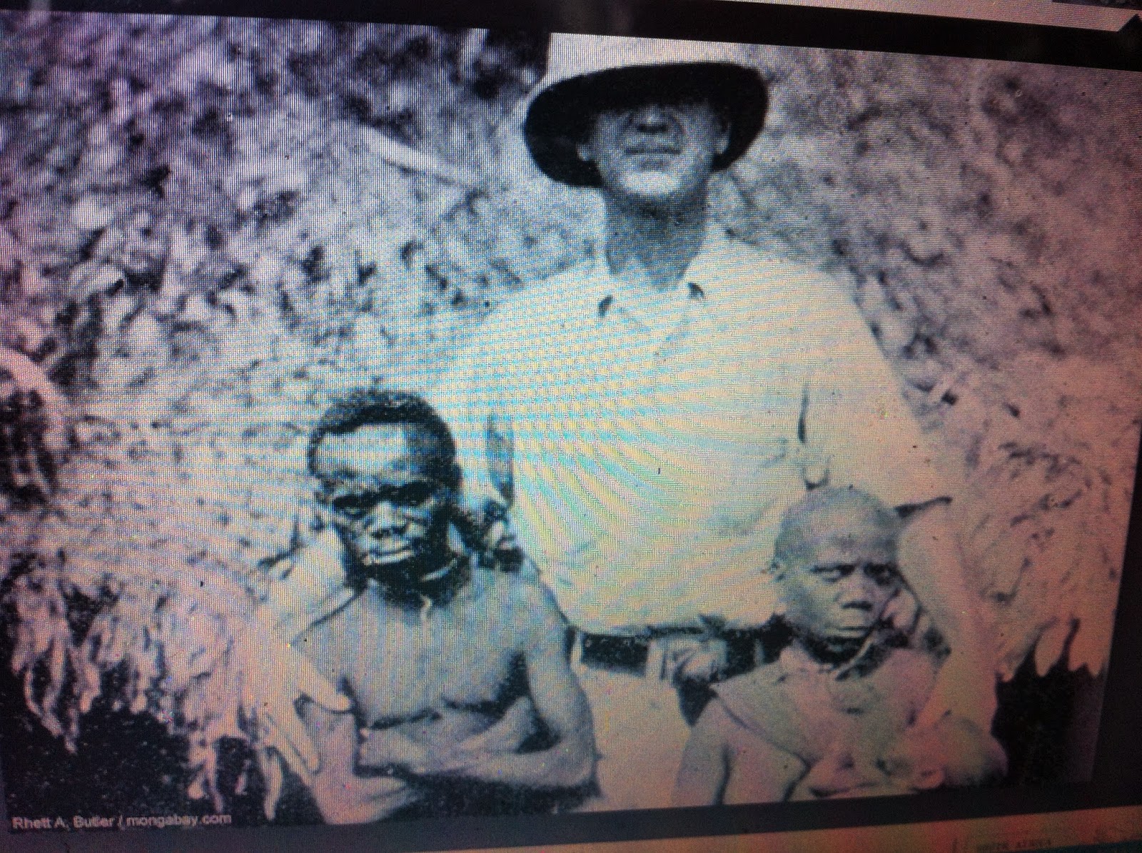 THE BLACK SOCIAL HISTORY:: BLACK SOCIAL HISTORY : THE GERMAN COLONIAL ...