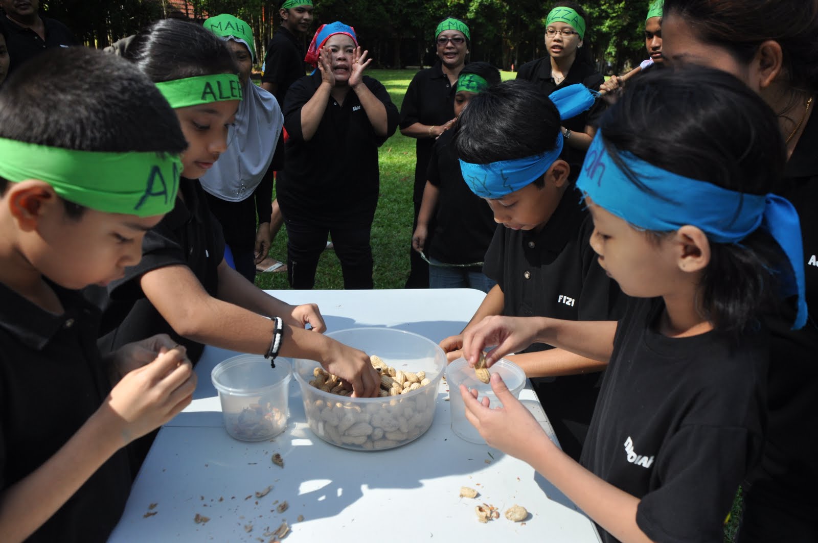 APPLE TELEMATCH: TELEMATCH FOR FAMILY DAY - GAME FOR KIDS