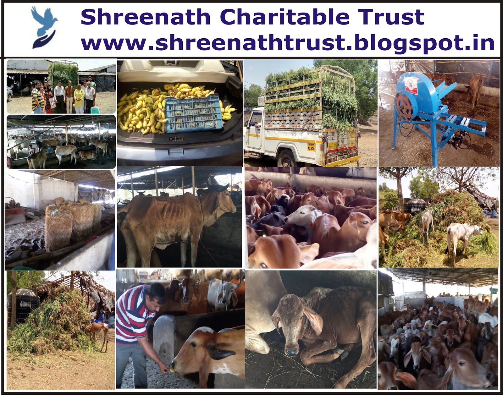 Shreenath Charitable Trust Objectives And Vision: 2016