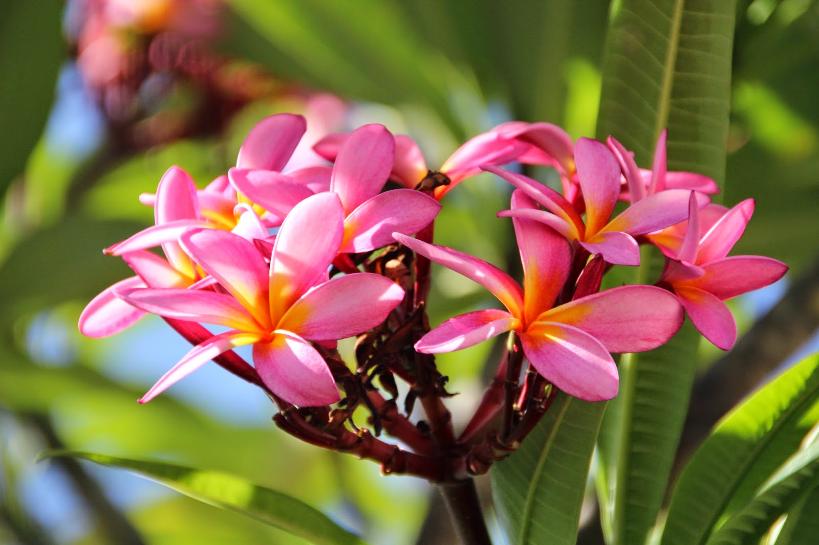 Get Me Outdoors: Zanzibar