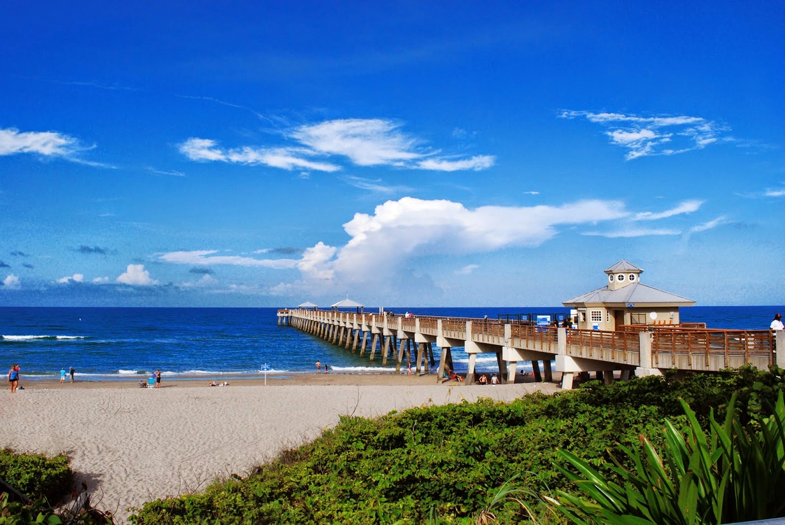 Brian Duffner The Producer$ Real Estate Of Florida-Jupiter: TOWN OF JUPITER