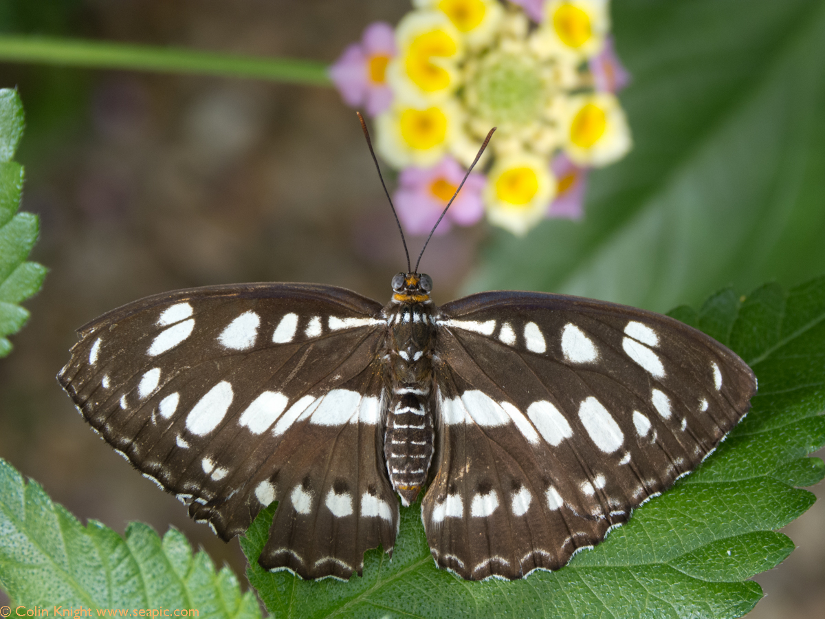 Postcards from Sussex: April 2012