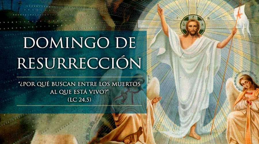 Domingo De Pascua: Aleluya, Aleluya El Señor Resucito, Evangelio De Hoy