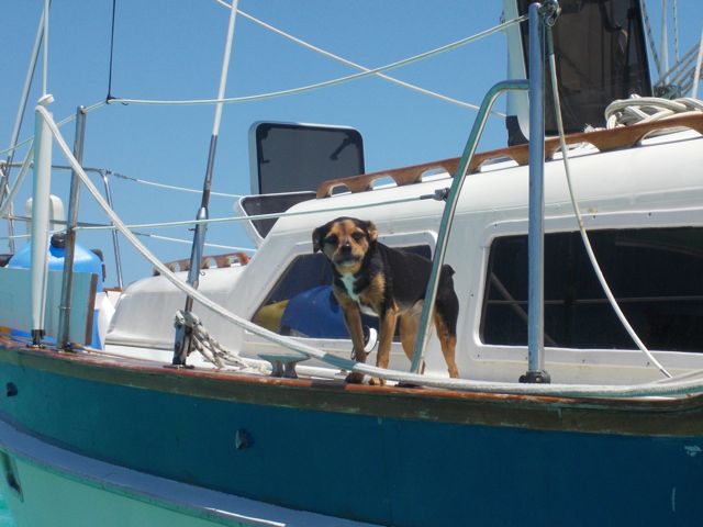 Meeting Journey’s Former Owners | Galley Wench Tales