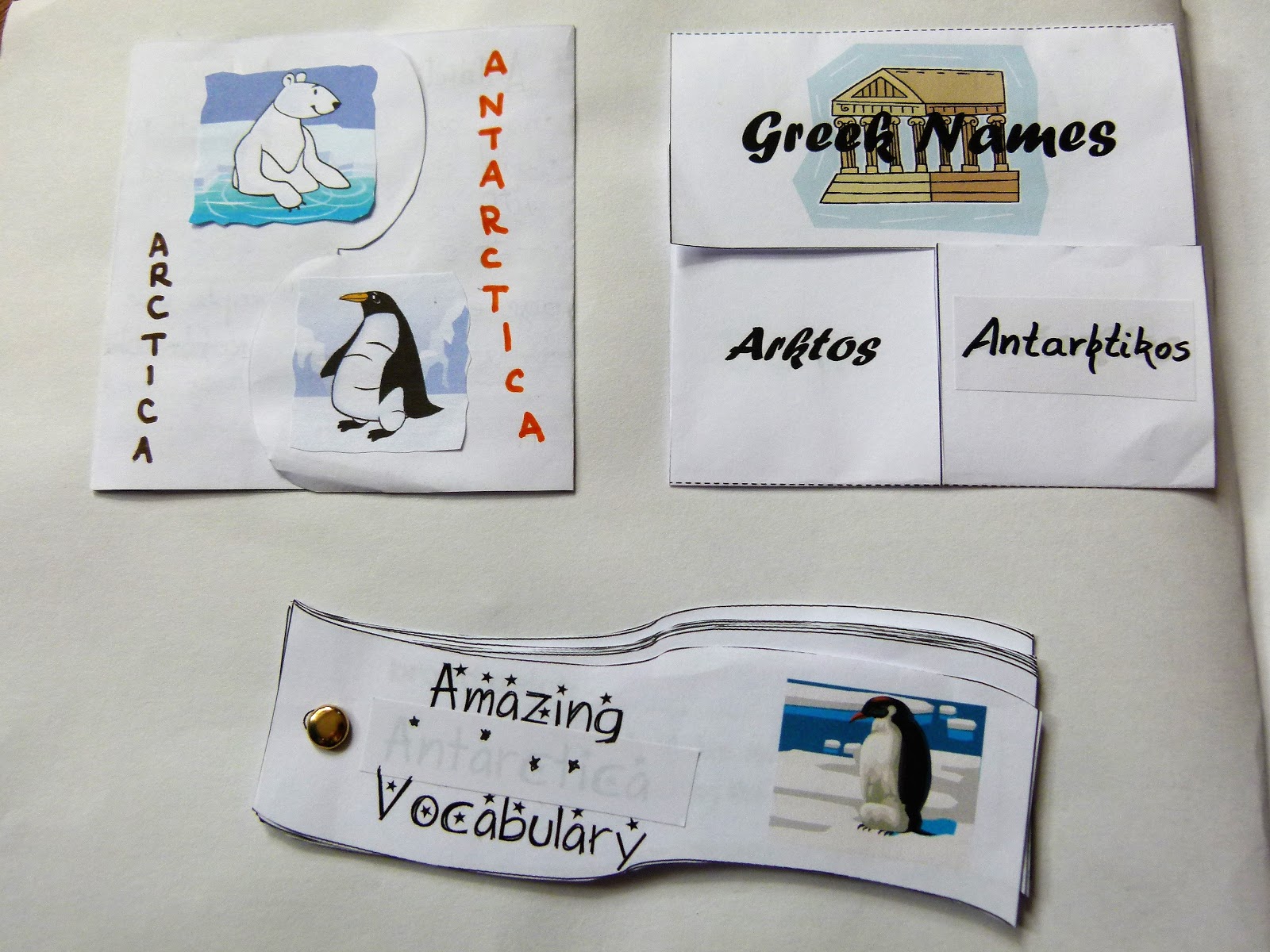 Lapbook: Strefy polarne - Polar regions