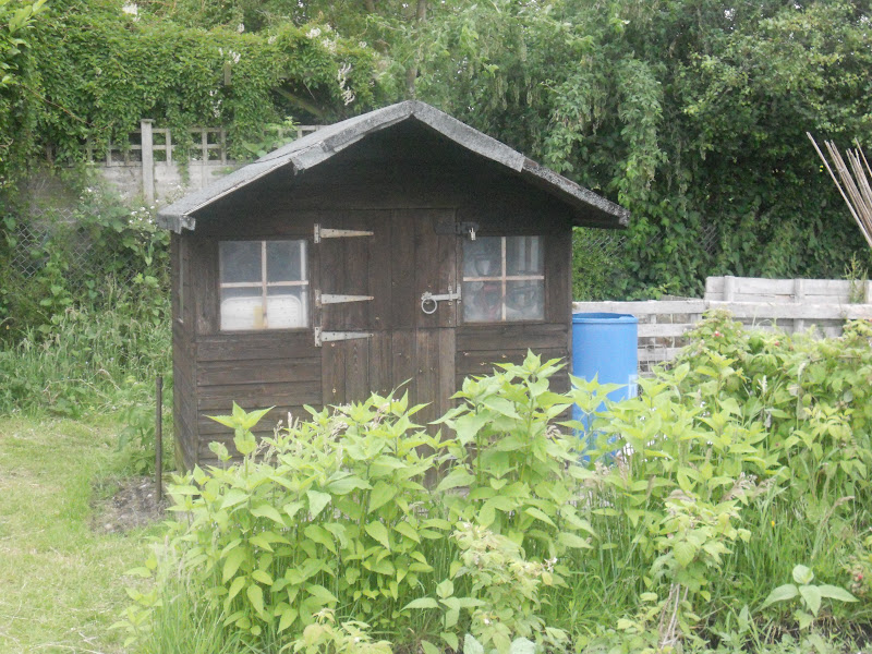 Allotment Sheds