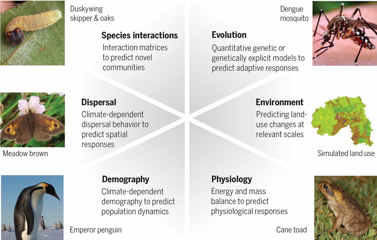 Biodiversity Science: Forecasting biodiversity under climate change