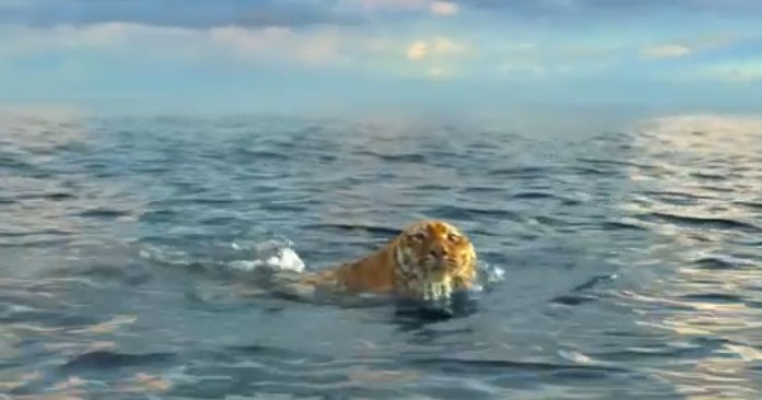 Life Of Pi Tiger Swimming