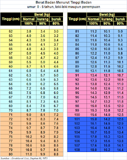 Princess Hadiva: Berat Badan Bayi/Balita Ideal