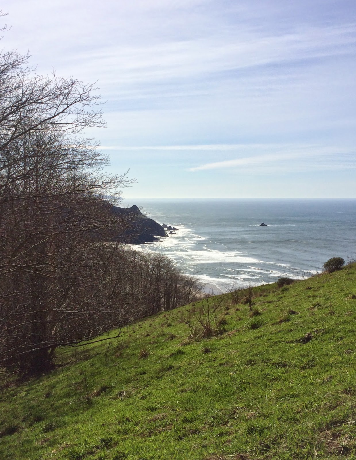 Miss Alyss: Cascade Head Trail & Lincoln City