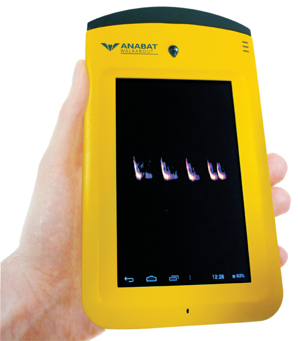 Bat Detector Reviews: July 2015