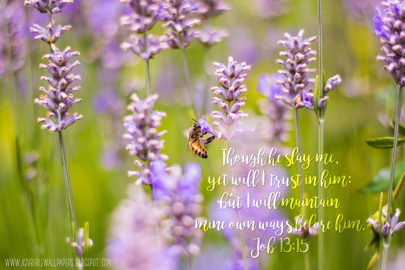 KJV Bible Wallpapers