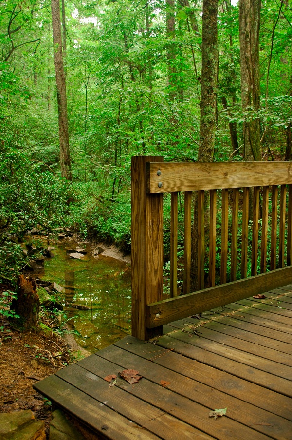 One State, Two Boys: Moss Rock Preserve - Hoover, Alabama - July 15, 2011