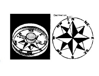 School Science Project: Compass needle