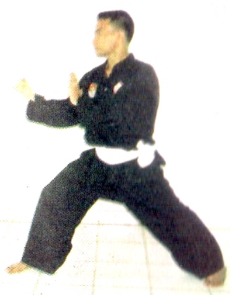 Perguruan Silat Sin Lam Ba: Teknik Dasar Pencak Silat